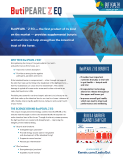 ButiPEARL® Z EQ - The Powerful Effect of Butyric Acid and Zinc | Animal Gut Health Integrity ...